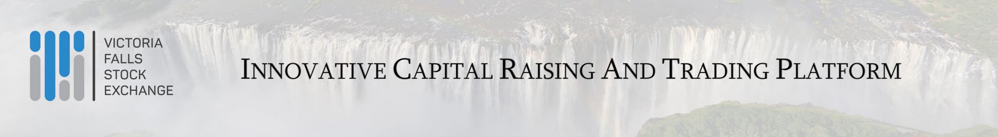 Victoria Falls Securities Exchange