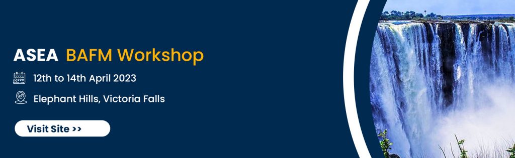 Victoria Falls Securities Exchange