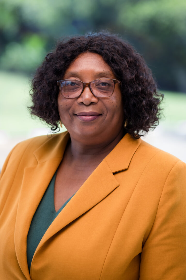 BOARD-OF-DIRECTORS – Victoria Falls Securities Exchange